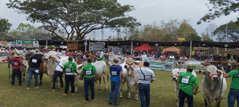 Visita Balzar【Guayas - Ecuador】