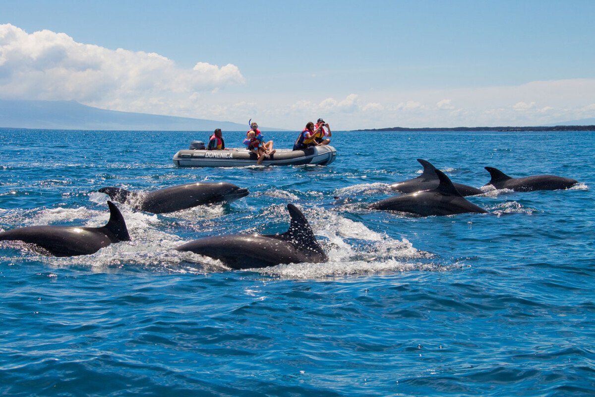 Ecuador Lives 【 Región Insular Galápagos