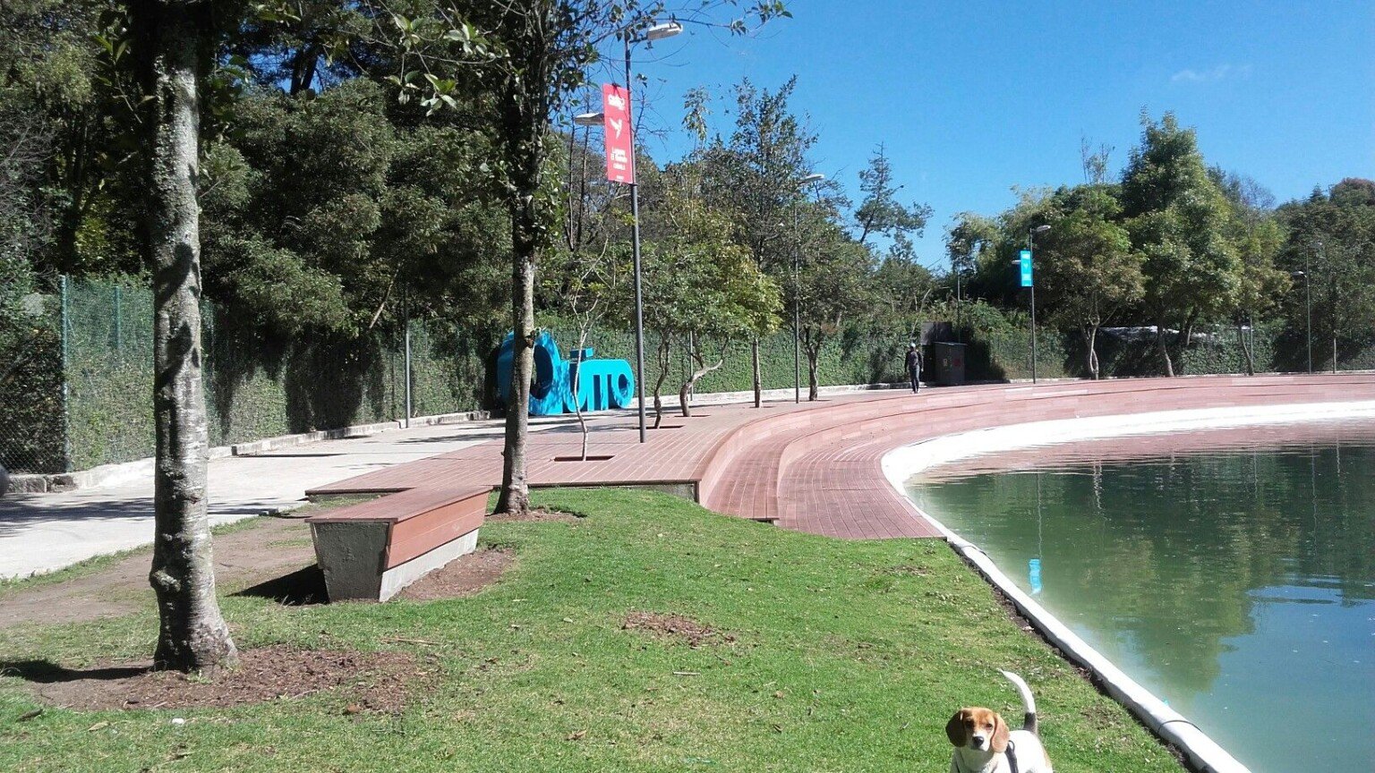 Parque la Carolina Quito