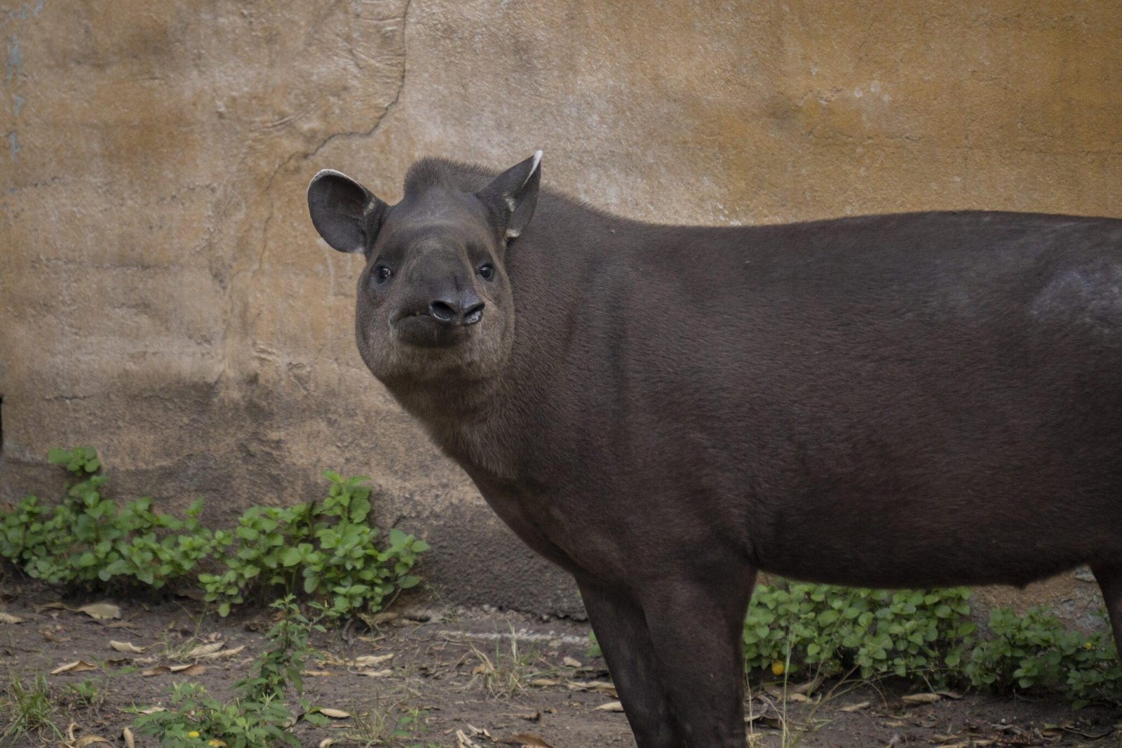 Zoológico de Guayllabamba de Quito